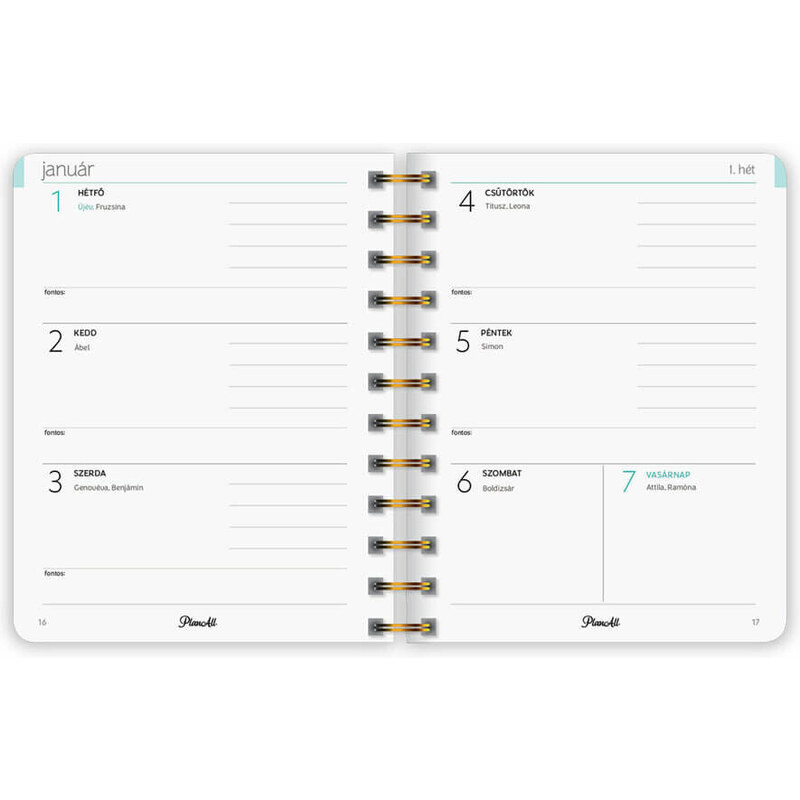 LIZZY CARD PlanAll Midi heti tervező, B6, heti, spirál, 2024, See ...