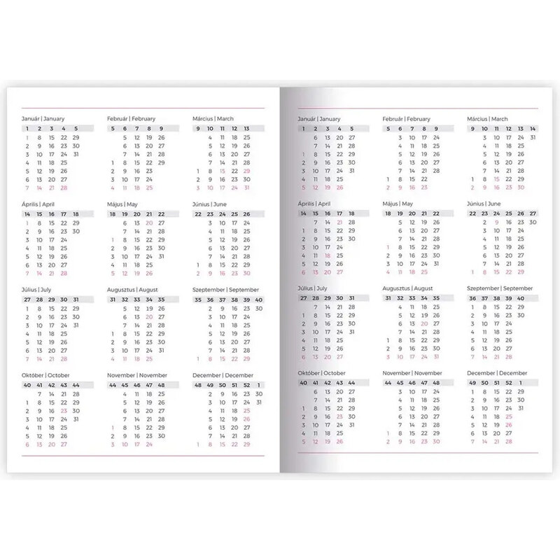 LIZZY CARD Lizzy Calendar határidőnapló, A/5, napi, szivacsos borító ...